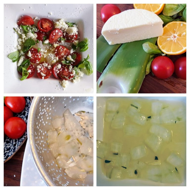 How to Prepare and Eat Aloe Vera – Living With Aloe